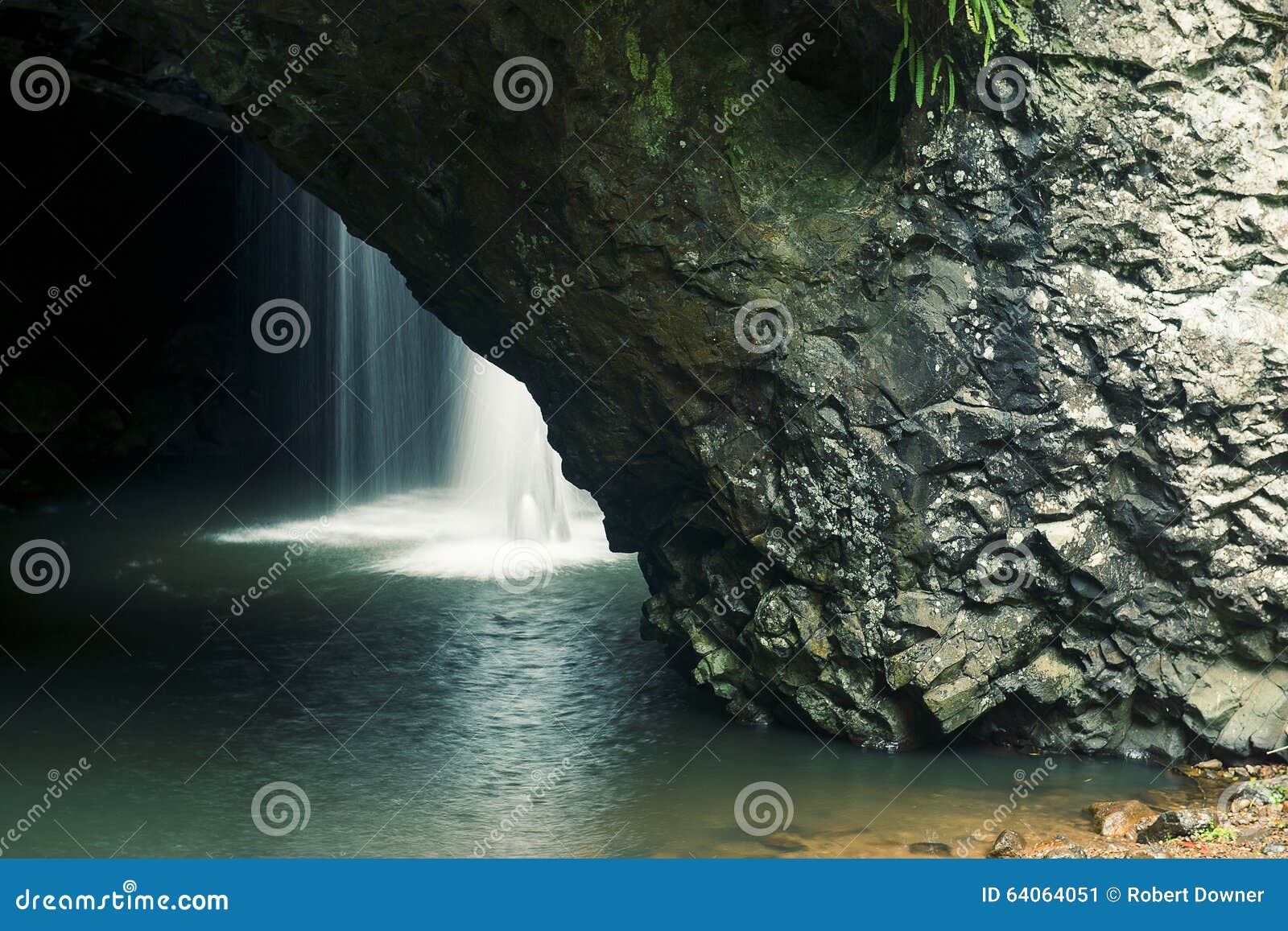 Natural Bridge Waterfall stock image. Image of rainforest - 64064051