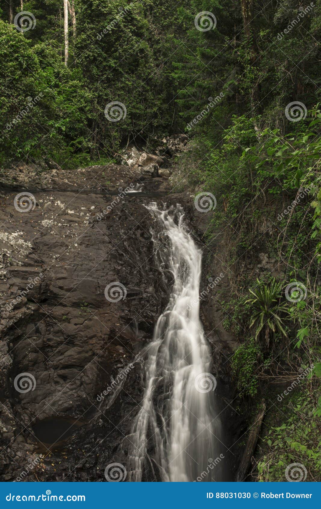 Natural Bridge Waterfall stock photo. Image of rock, forest - 88031030