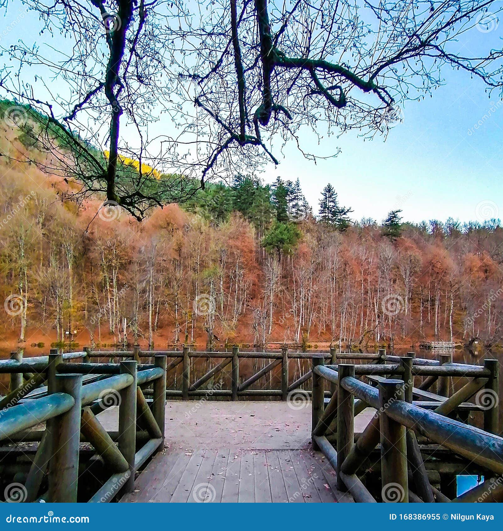 Natural bridges landscape stock image. Image of bridges - 168386955