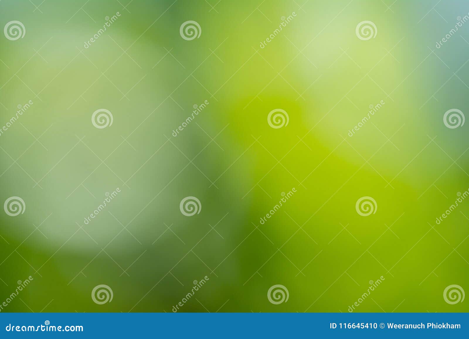 Natural Bright Green Gradient Background Stock Photo - Image of outdoor ...