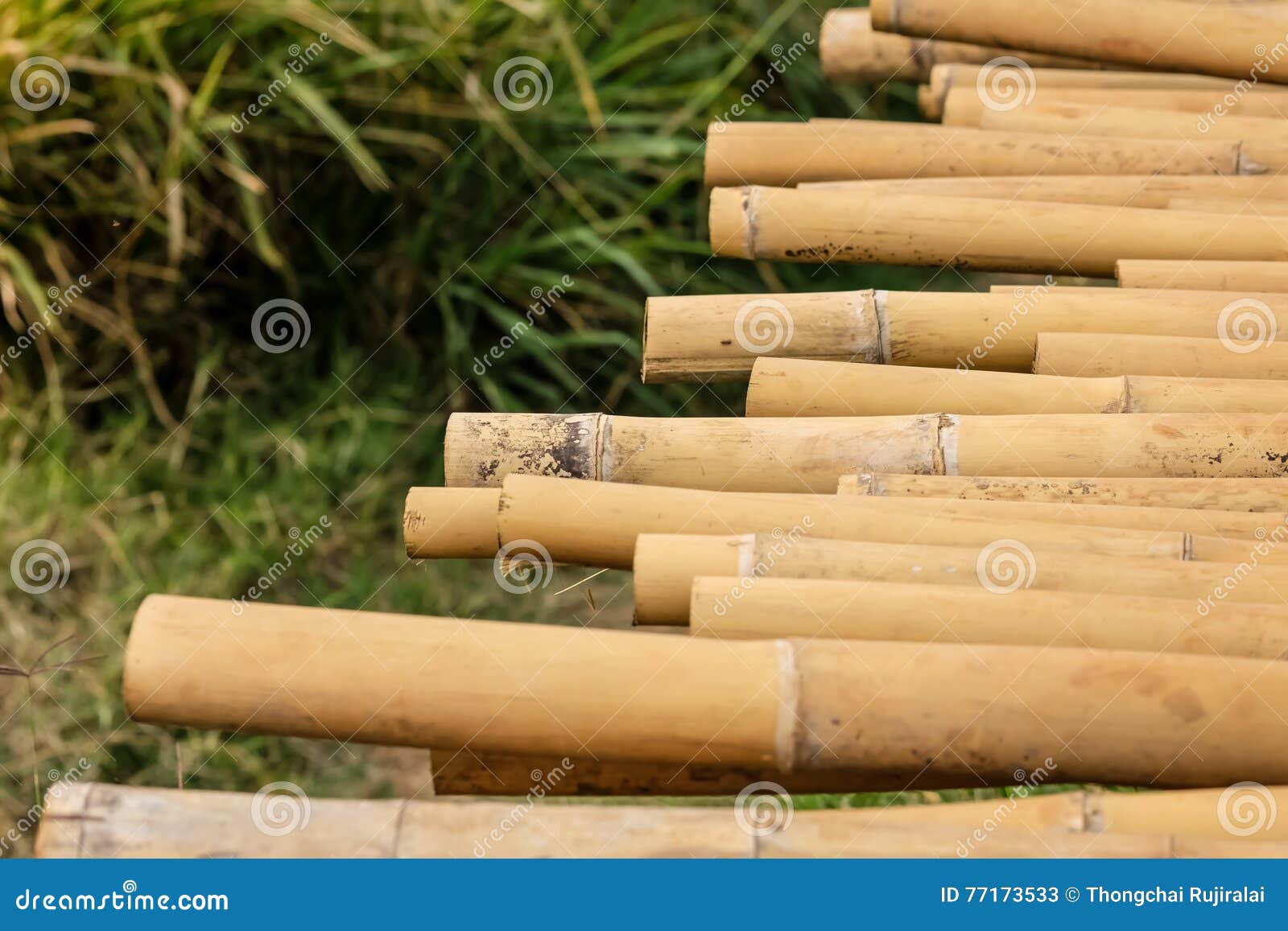 Natural Brown Bamboo Stacks Stock Image - Image of brown, stick: 77173533