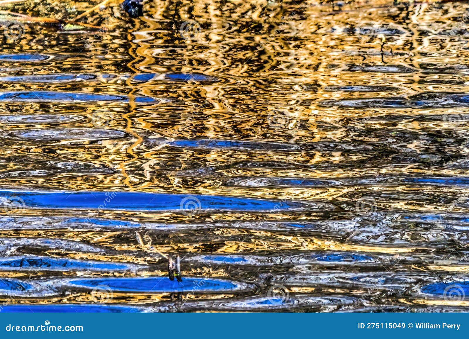 Natural Brown Blue Patterns Reflection Abstract Juanita Bay Kirkland ...