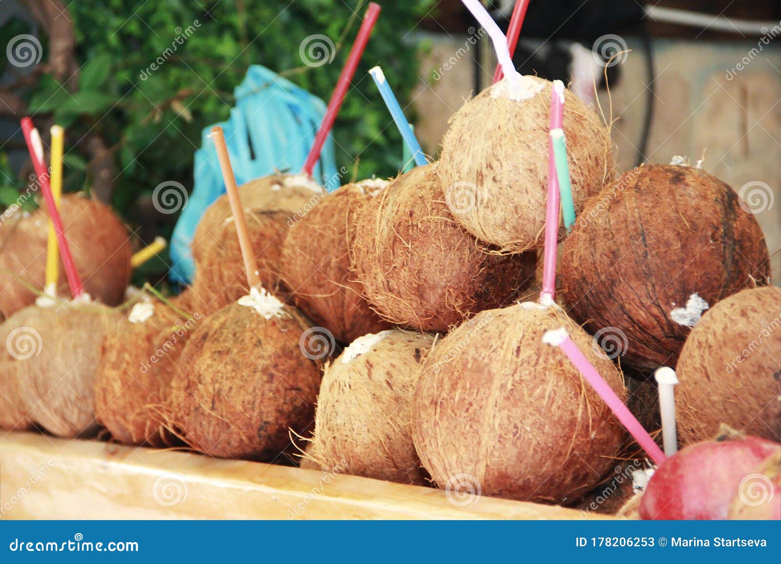 Natural Brown Coconuts with Cocktail Tubes Stock Image - Image of ...