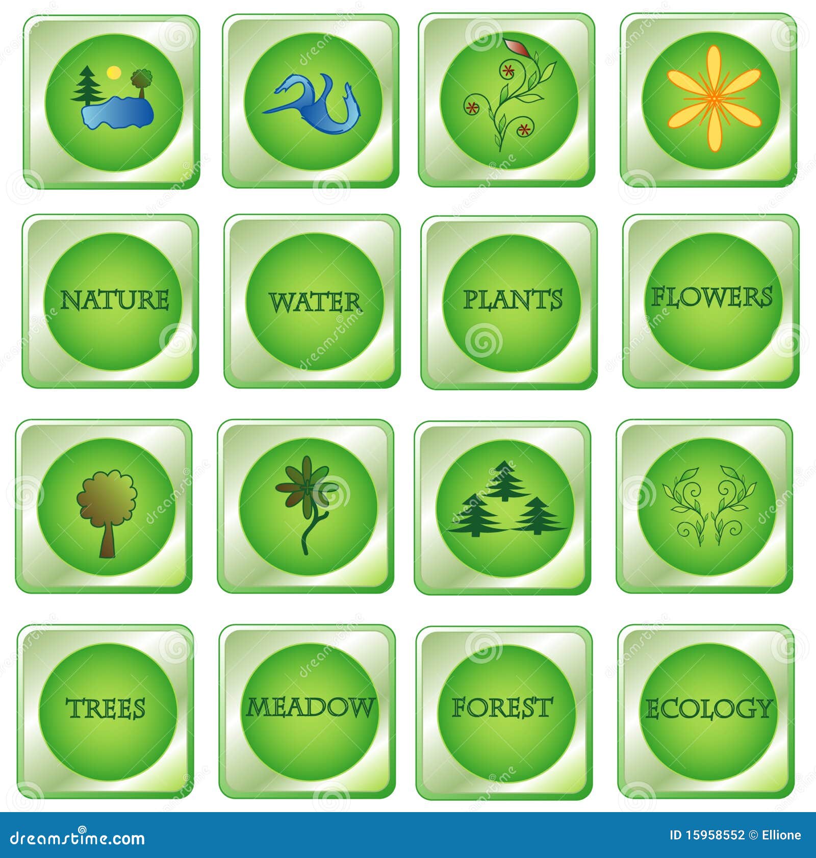 Natural buttons stock vector. Illustration of flowers - 15958552