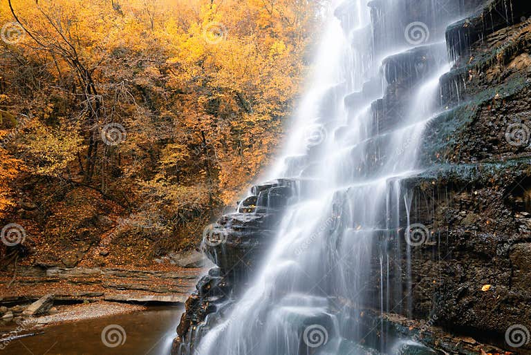 Natural Cascade in the Park Stock Photo - Image of dusk, forest: 34729518