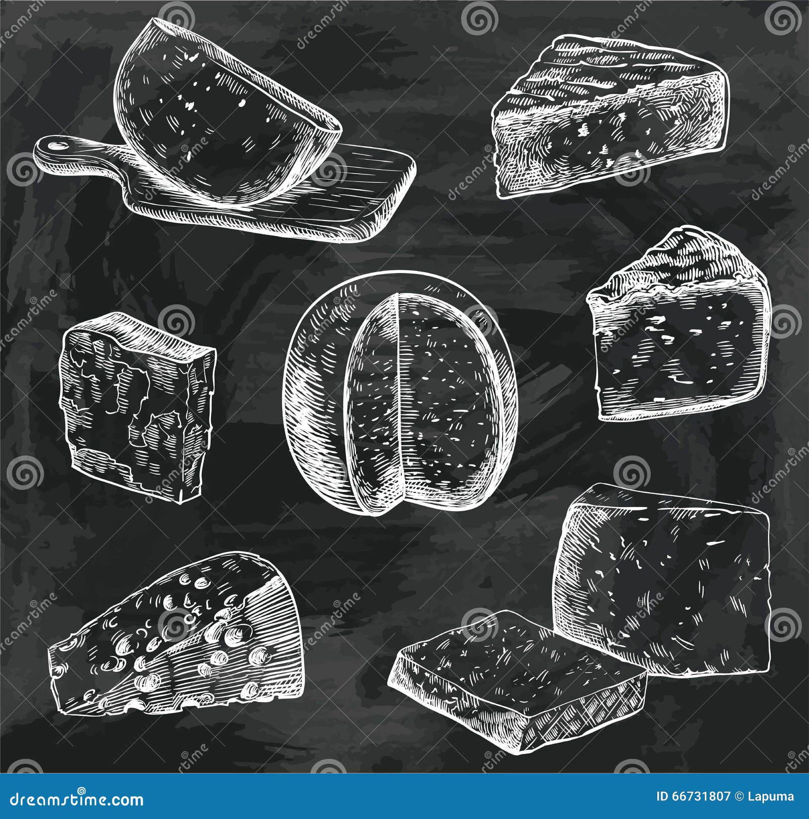 Natural cheese sketches stock vector. Illustration of foodstuff - 66731807