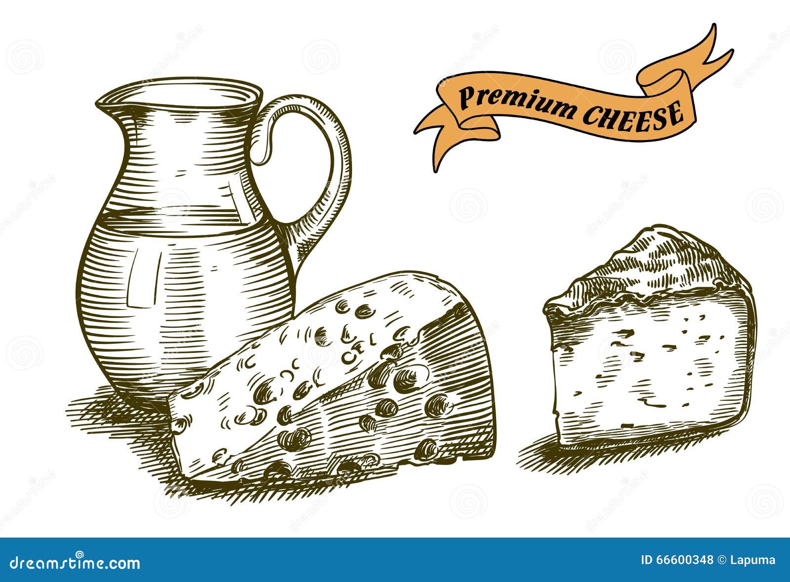 Natural cheese sketches stock vector. Illustration of fresh - 66600348