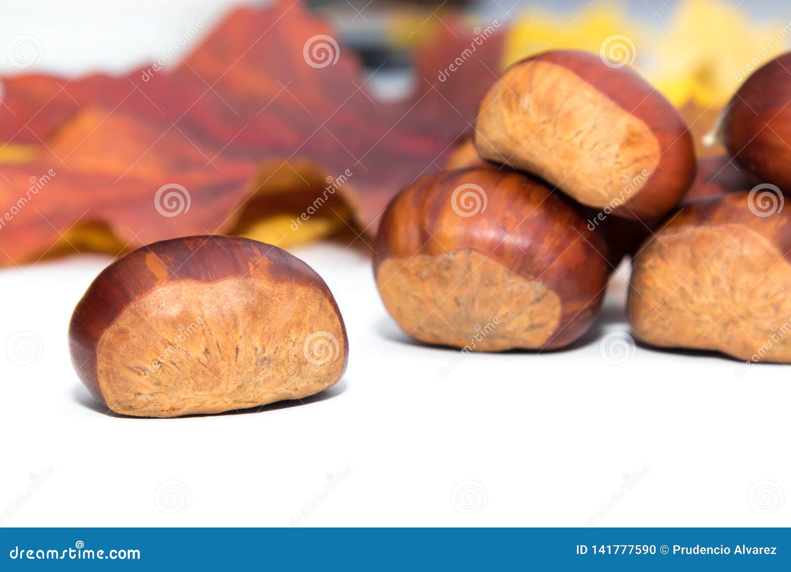 Natural chestnuts isolated stock photo. Image of background - 141777590