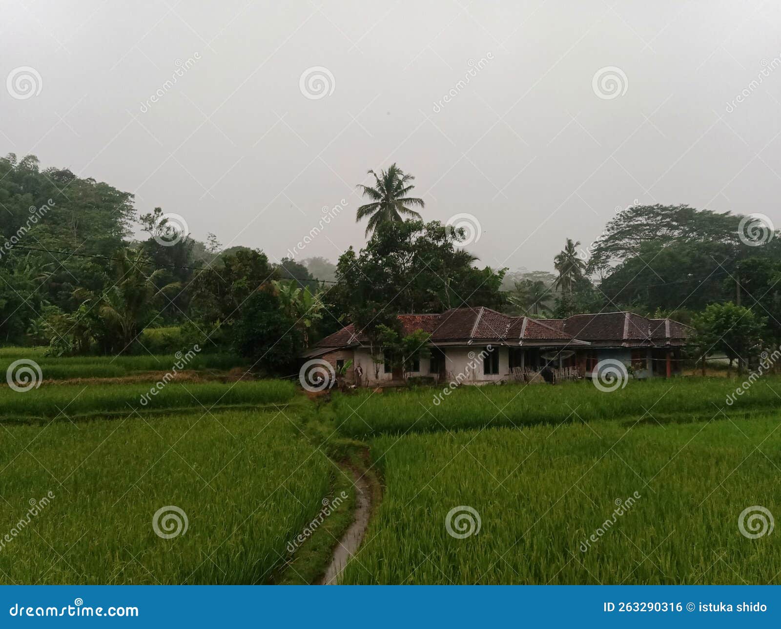 Natural Chill Atmosphere in Hometown Stock Photo - Image of natural ...