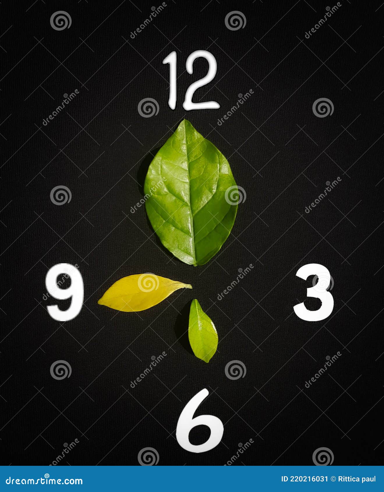 The natural clock stock image. Image of poster, plant - 220216031