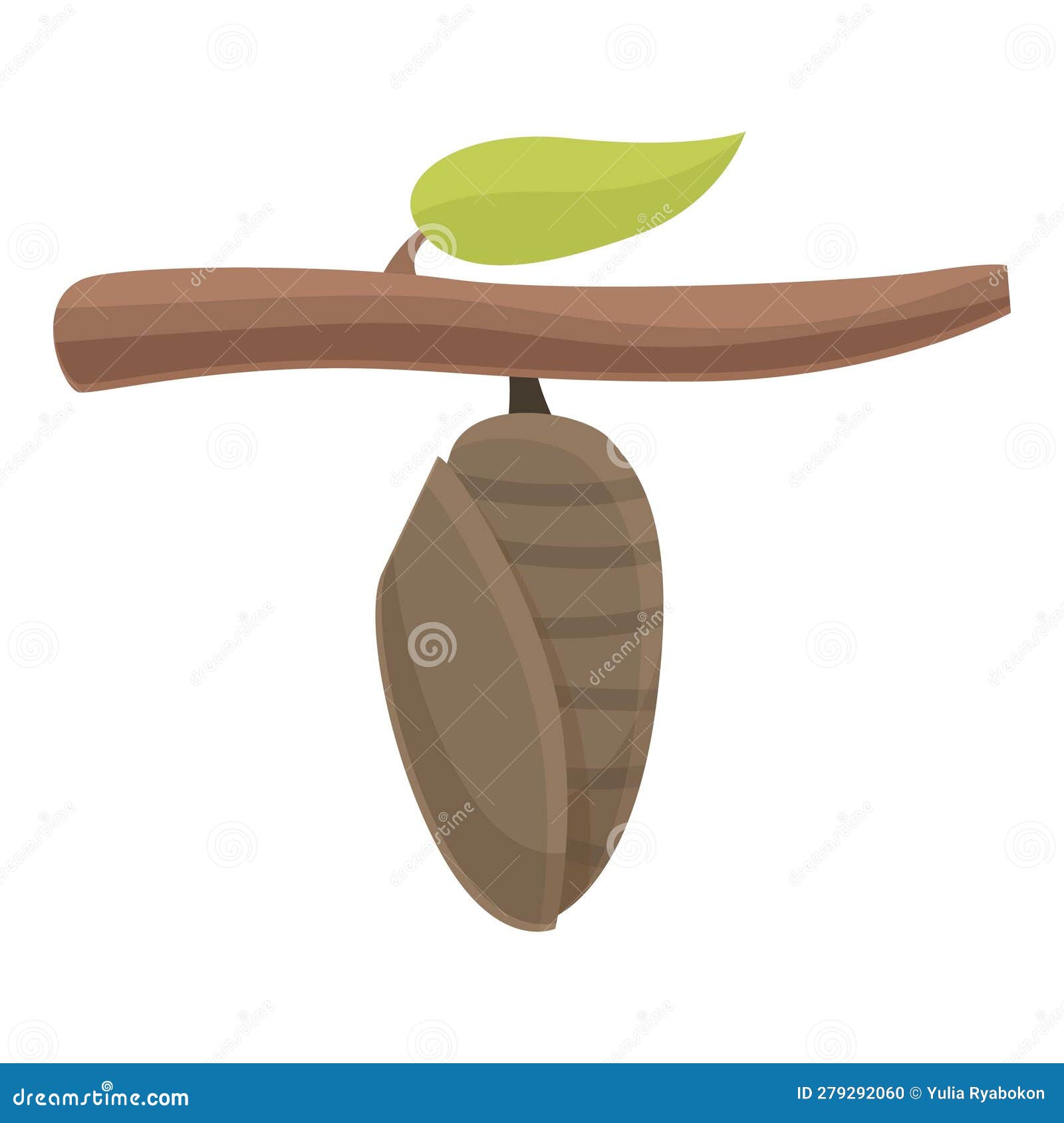 Natural Cocoon Icon Cartoon Vector Nature Leaf Stock Vector Illustration Of Metamorphosis