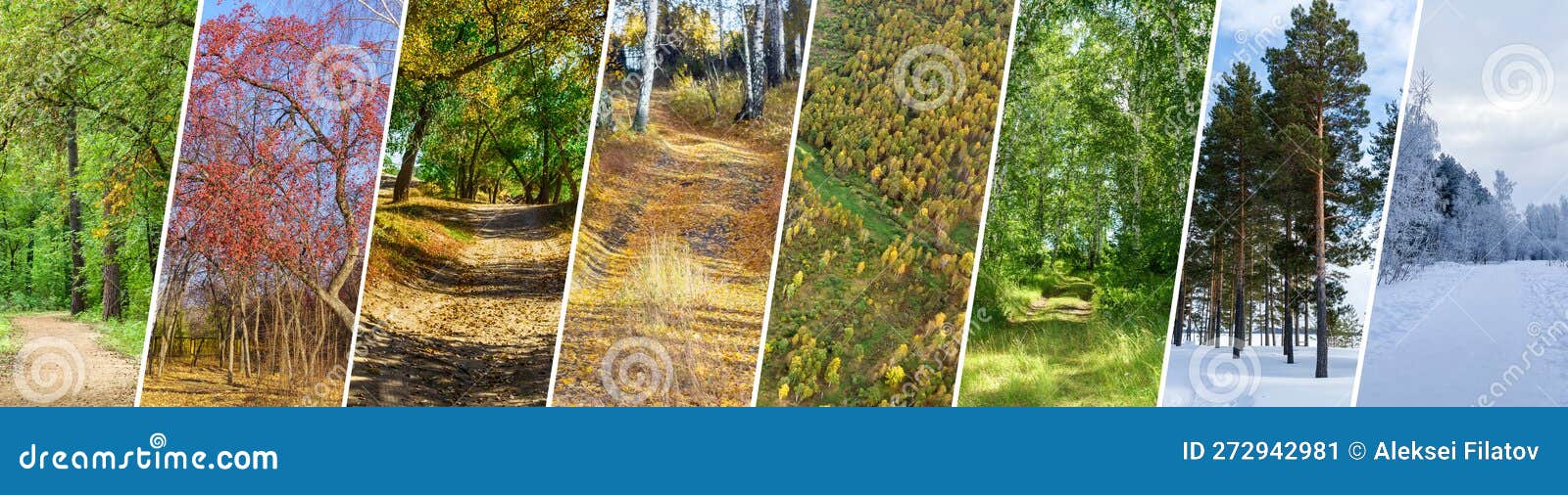 Natural Collage Forest Banner. Natural Background, for Website Header ...