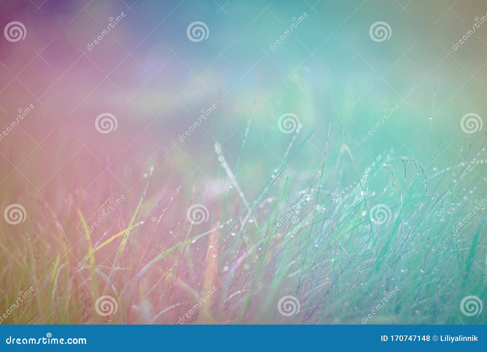 Natural Color Fantasy with Grass Stock Photo - Image of abstract ...