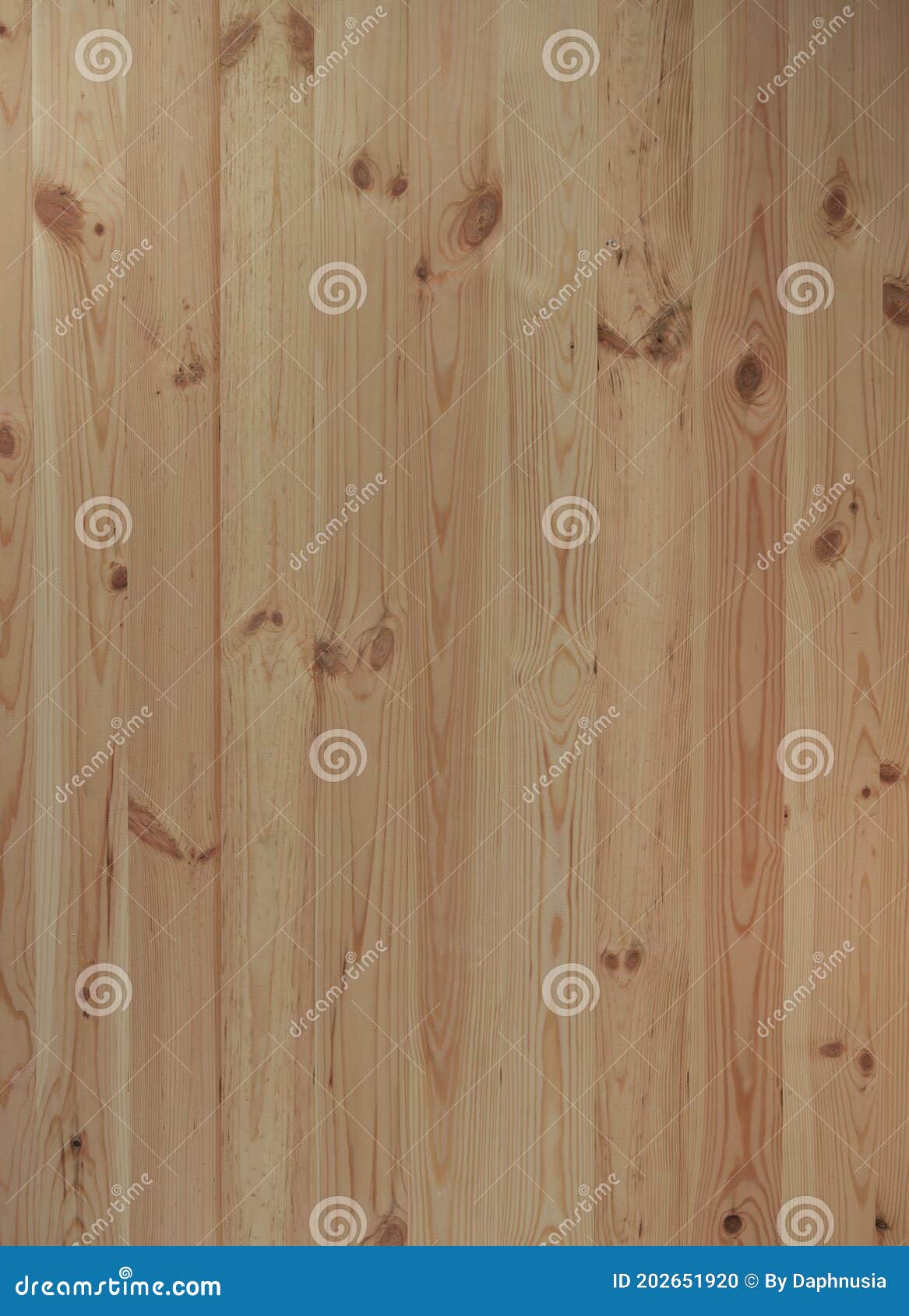 Wood plank backdrop stock photo. Image of hardwood, paneling - 202651920