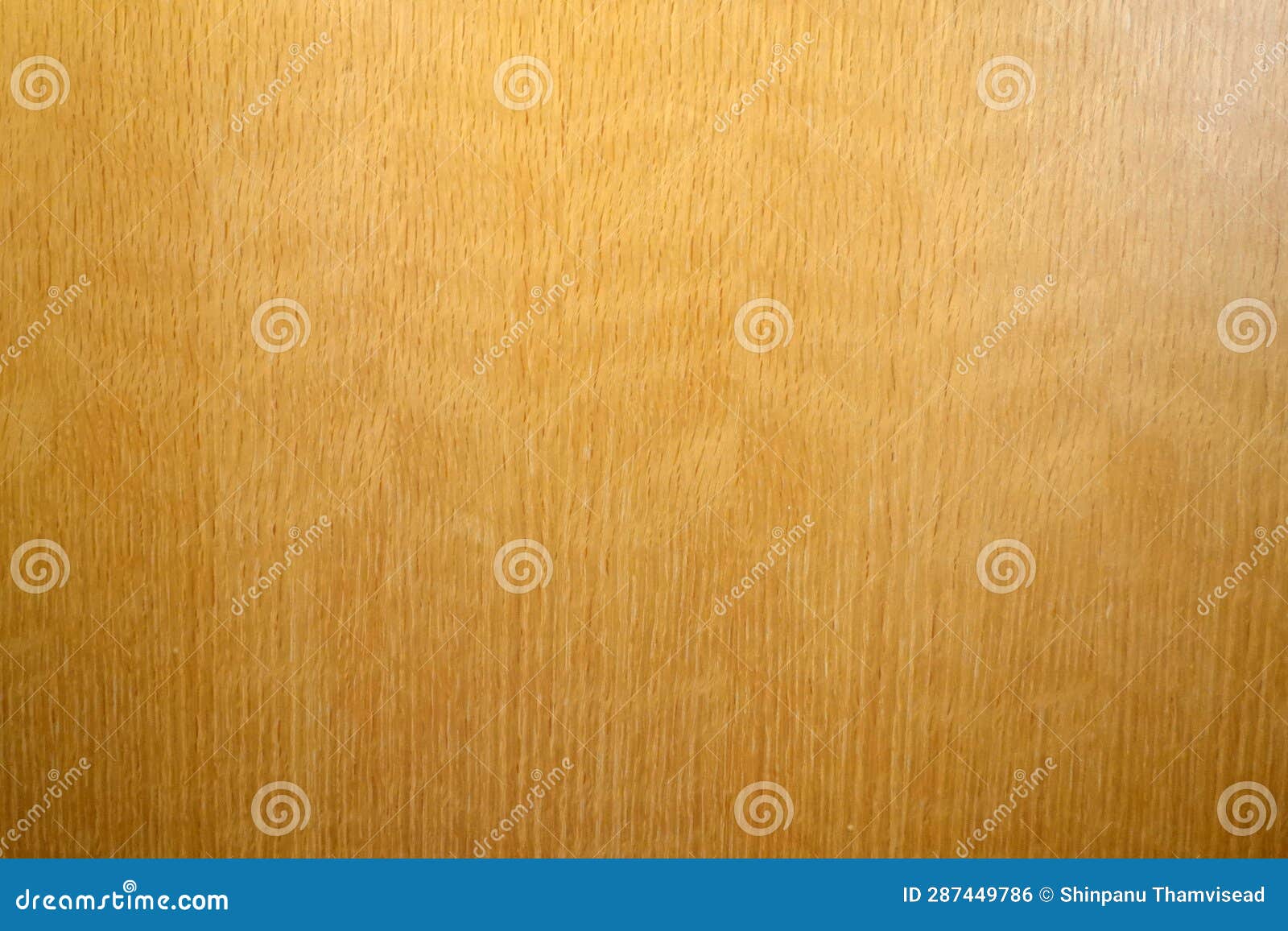 Natural Color Wood Texture Abstract Background, Premium Wood Texture ...