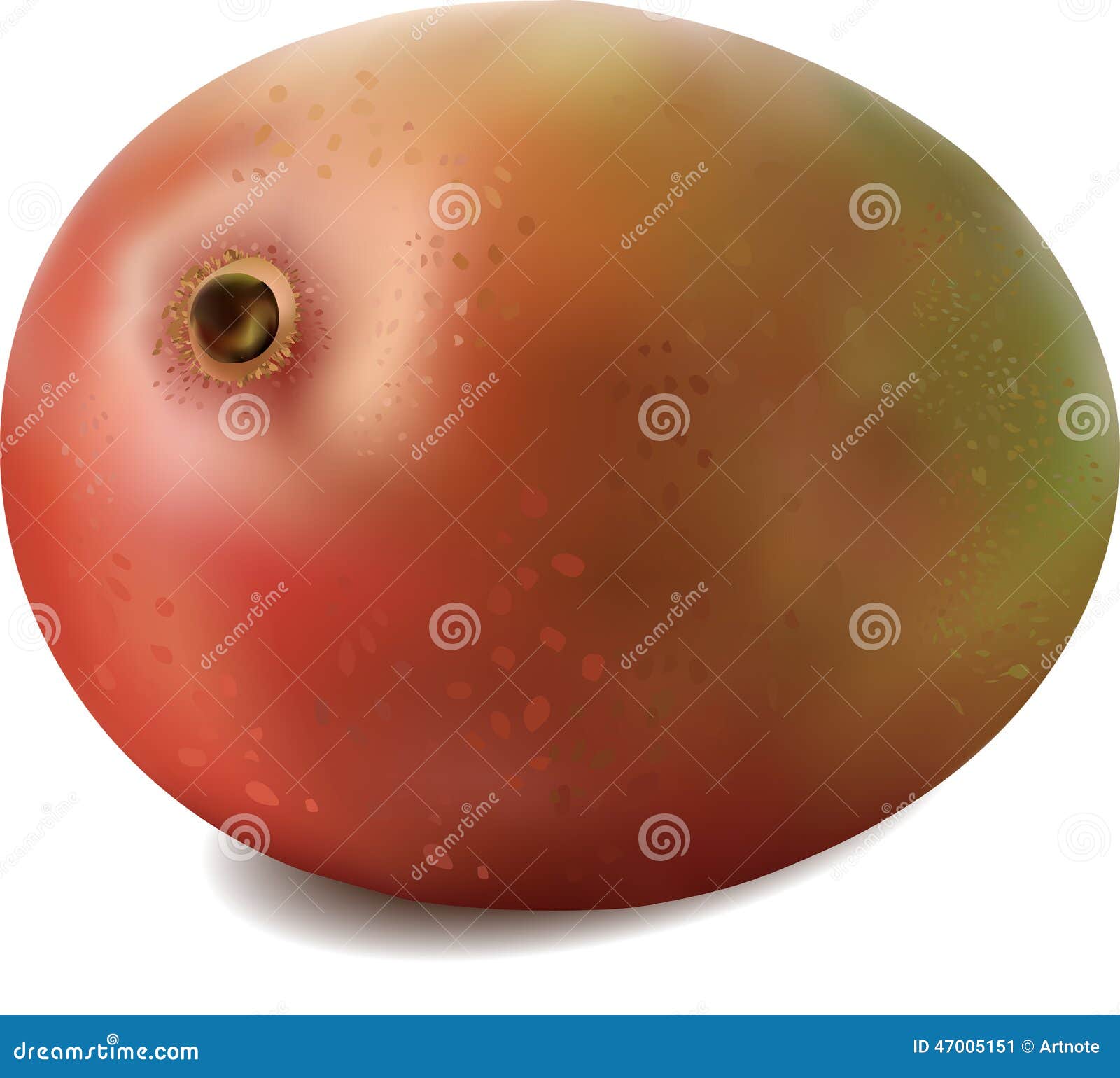 Natural Colored Mango in Vector Stock Illustration - Illustration of ...