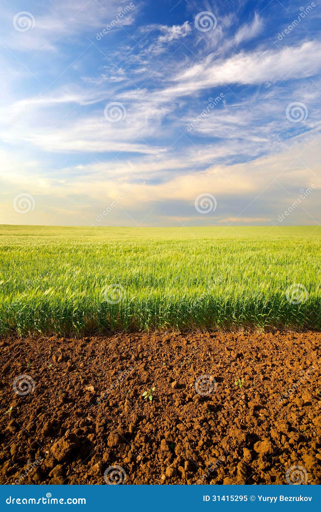 Natural composition stock image. Image of landscape, bright - 31415295