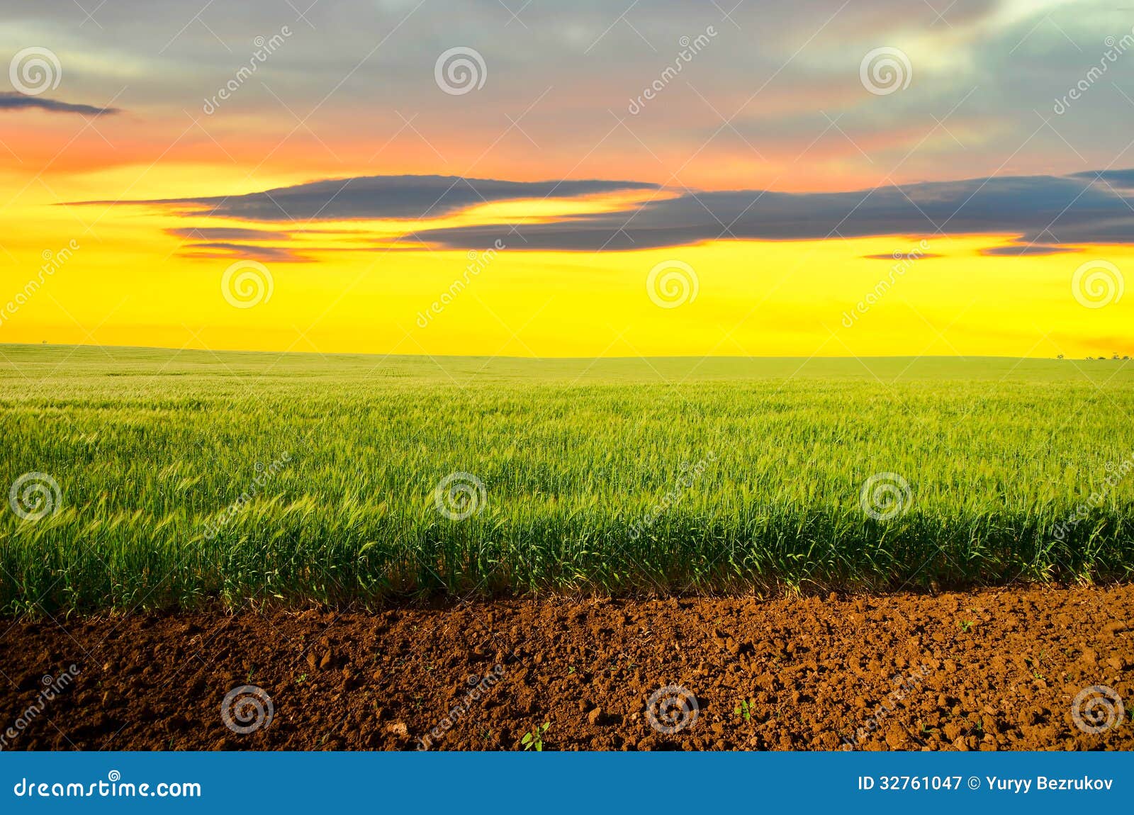 Natural composition stock image. Image of grass, wood - 32761047