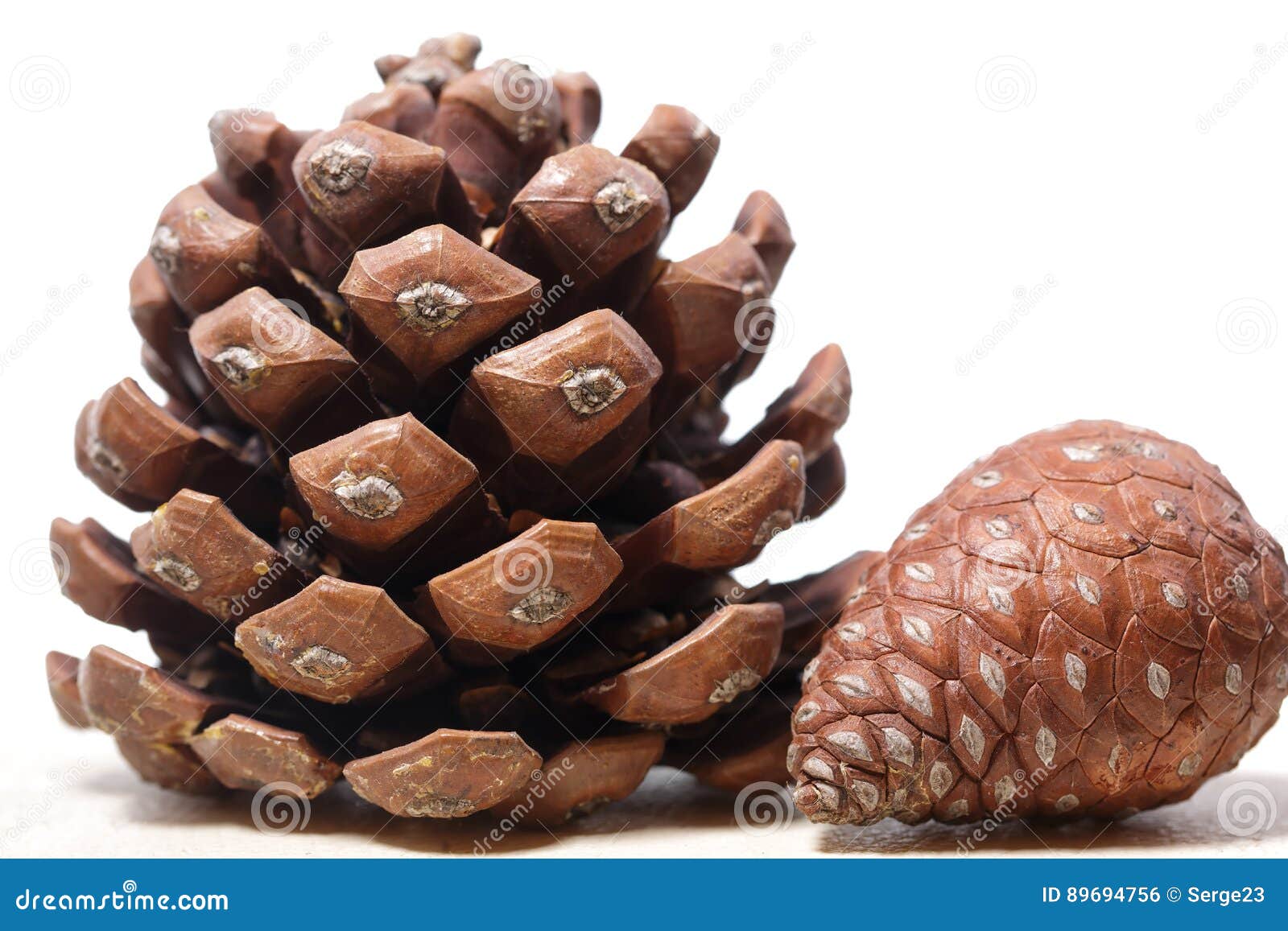 Natural cones stock photo. Image of cones, healthy, nuts - 89694756