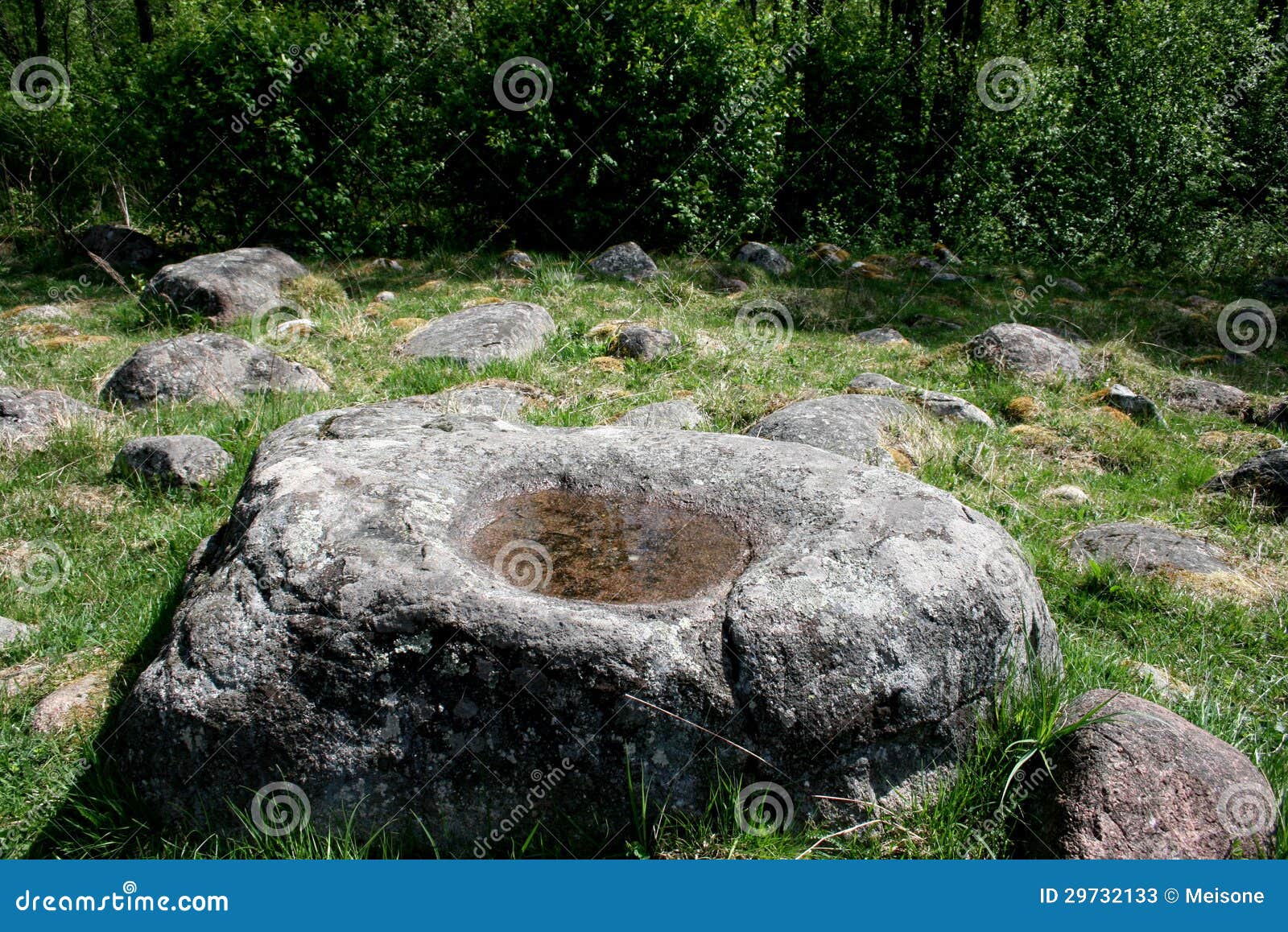 Natural container stock image. Image of container, scenery - 29732133