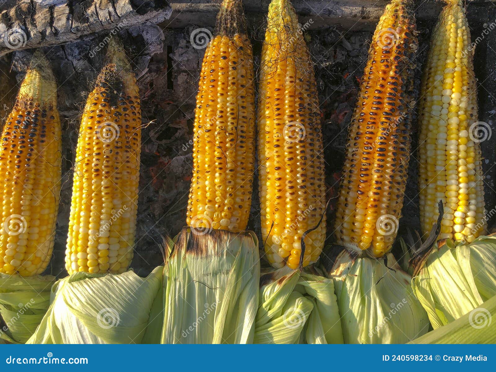 Natural Corns Cooked on Fire Stock Photo - Image of agricultural, corn ...