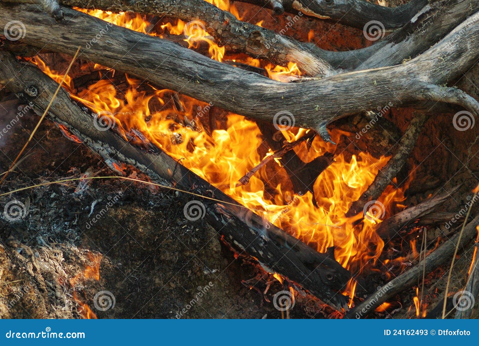 Natural Cover Fire stock image. Image of inferno, cover - 24162493