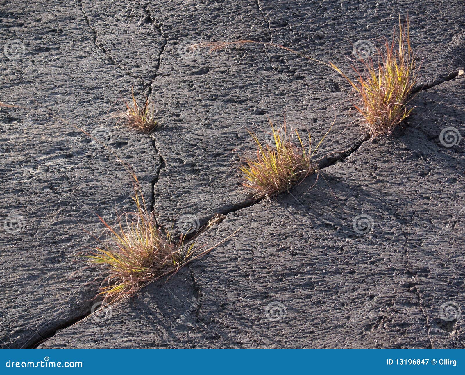 Natural Cracked Rock stock image. Image of basaltic, dusk - 13196847