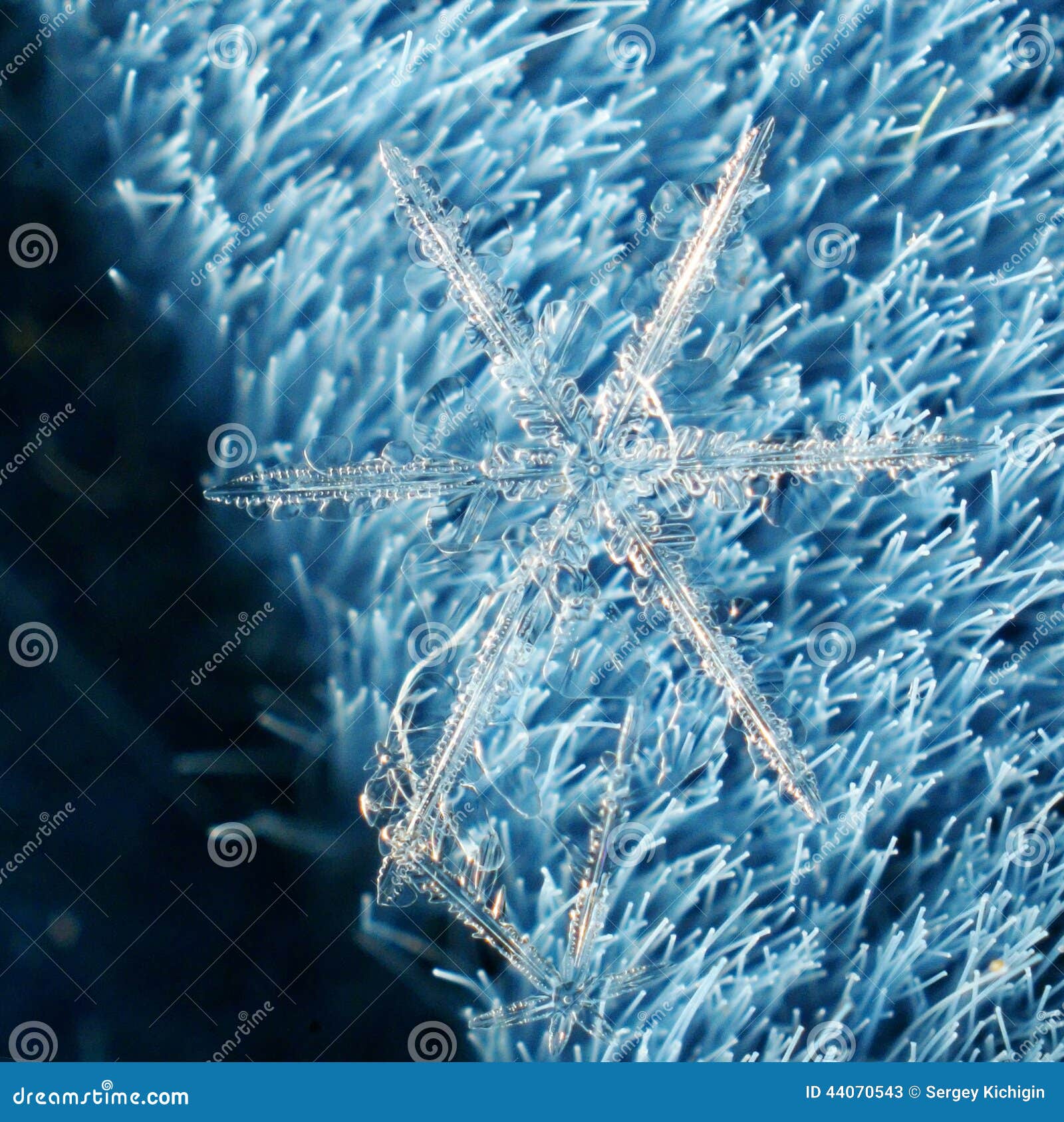 Natural Crystal Snowflake Macro Piece of Ice Stock Image - Image of ...