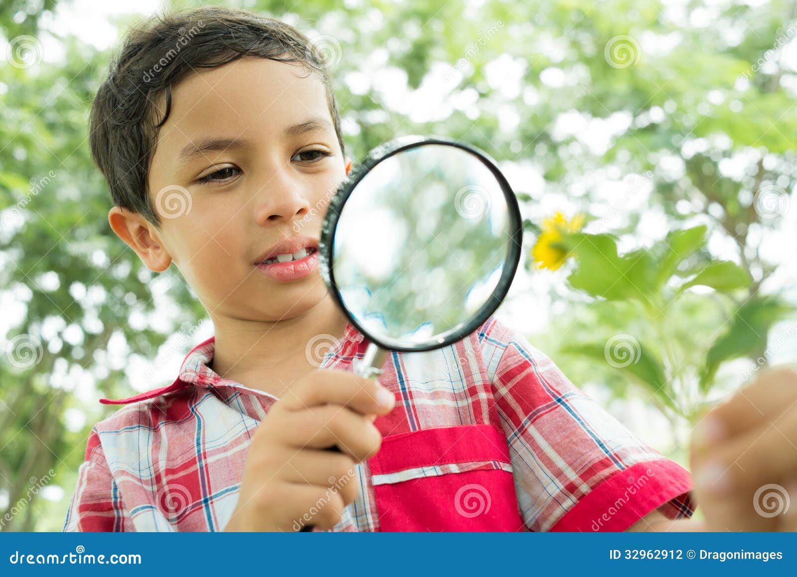 Natural curiosity stock photo. Image of discovery, cute - 32962912