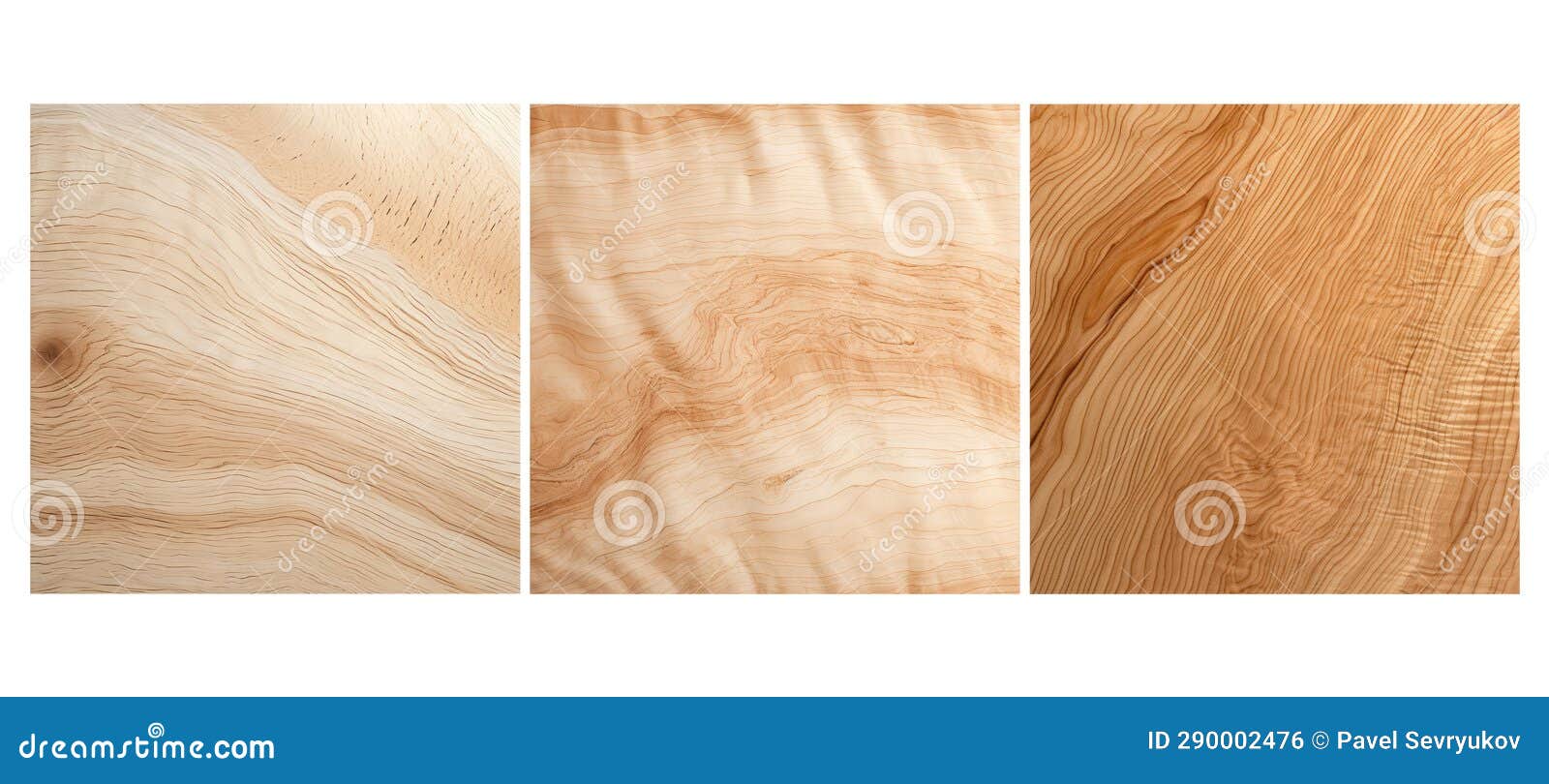 Curly Maple Color Sample From The Acer Species Royalty-Free Stock Image ...