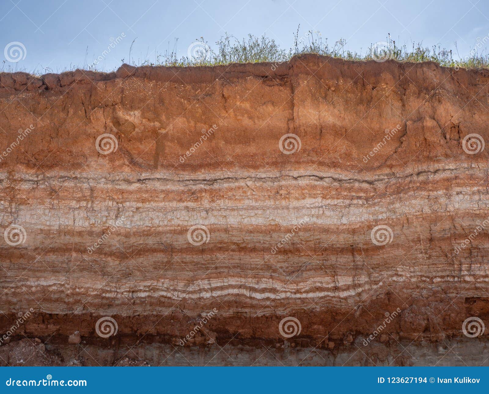 Natural cut of soil stock photo. Image of surface, summer - 123627194