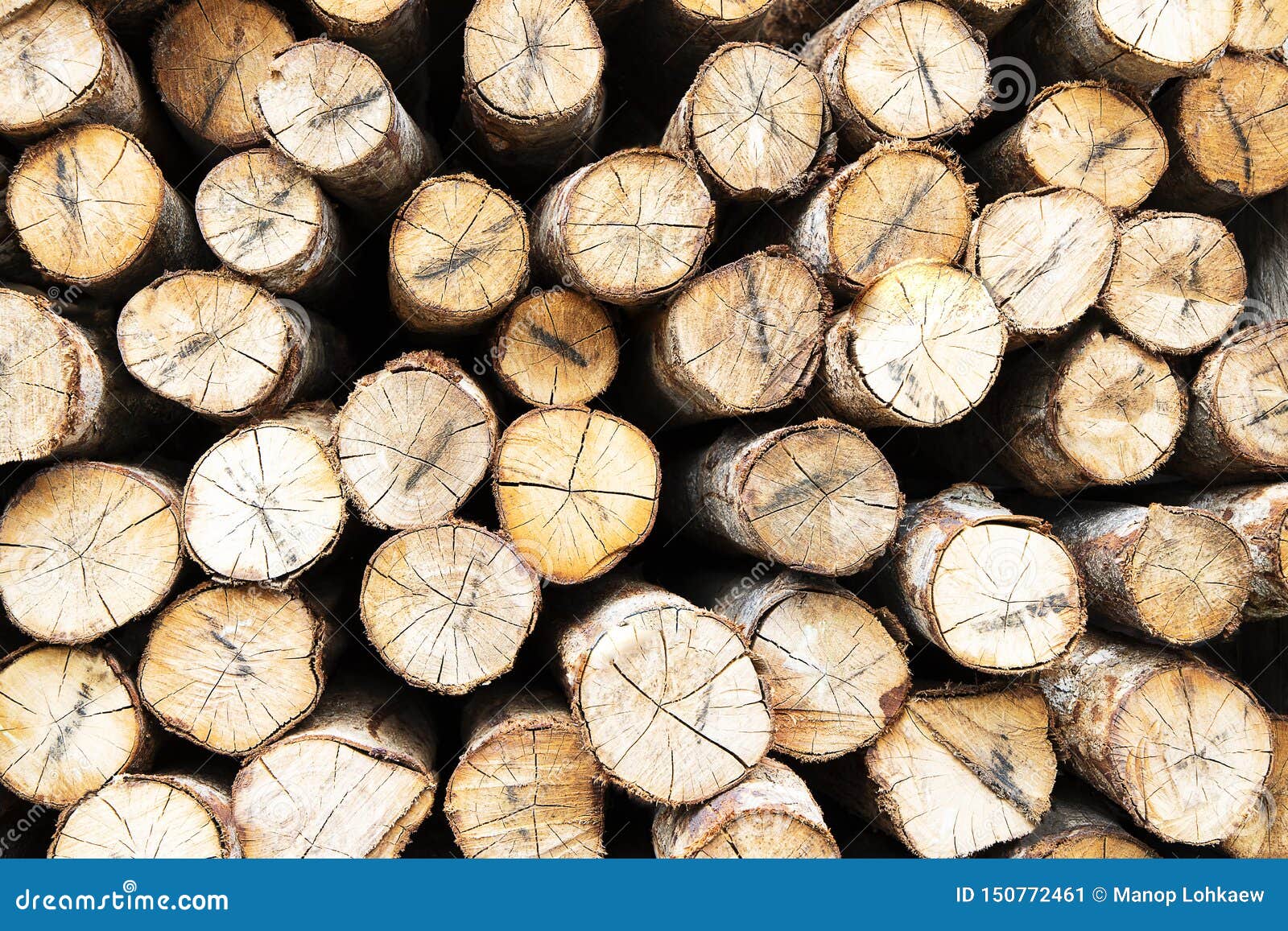 Natural Cut Wood Logs Texture Background Stock Image - Image of ...