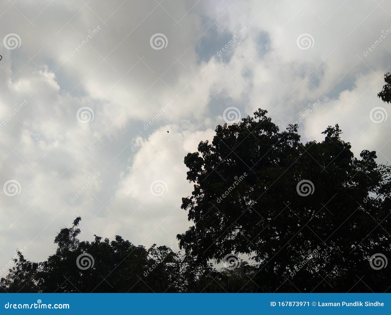 Natural Cute Looking Forward Model but Stock Image - Image of natural ...