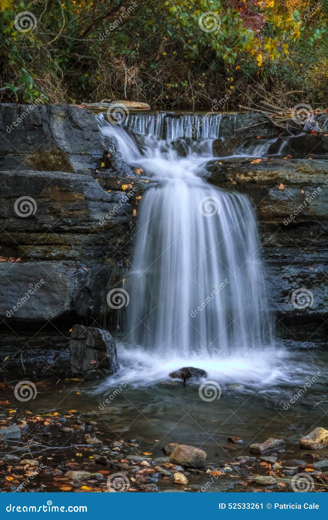 Natural Dam Waterfall 1 stock image. Image of branches - 52533261