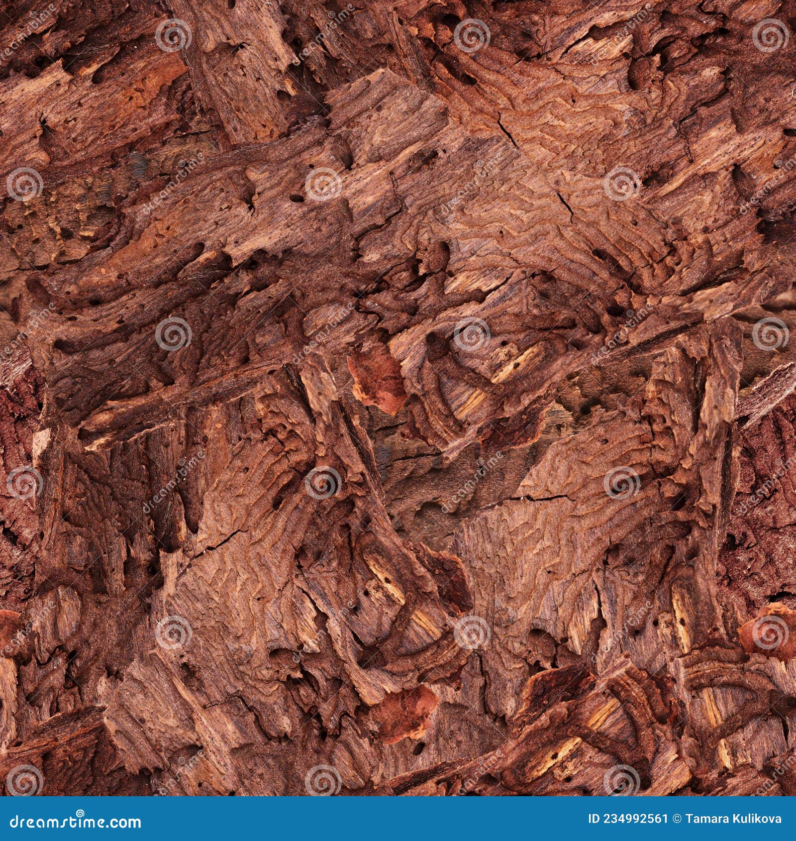 Natural Decay Background, Canary Pine Bark Damaged in Wildfire and ...