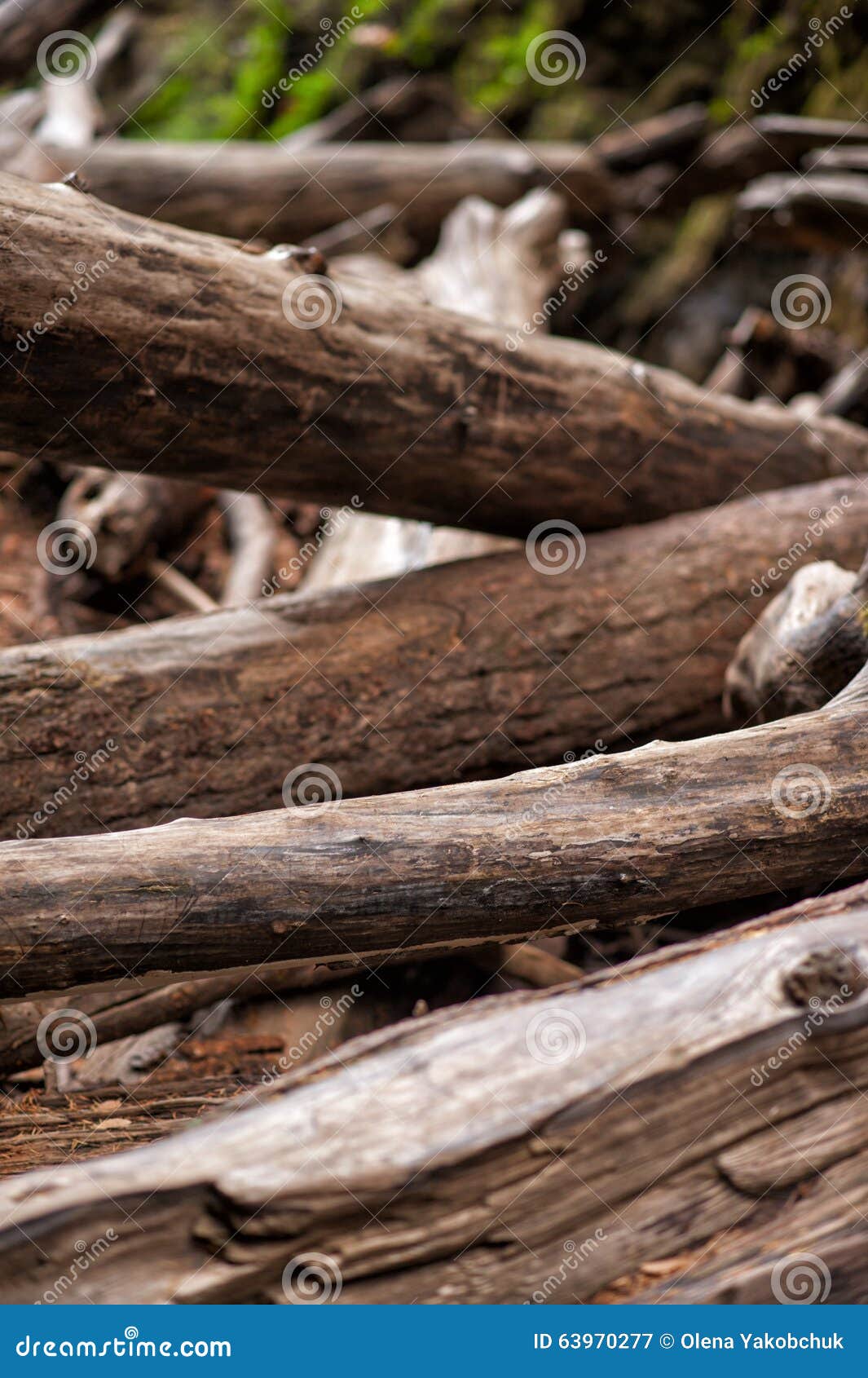 Natural Deforestation after Global Disaster in Stock Image - Image of ...