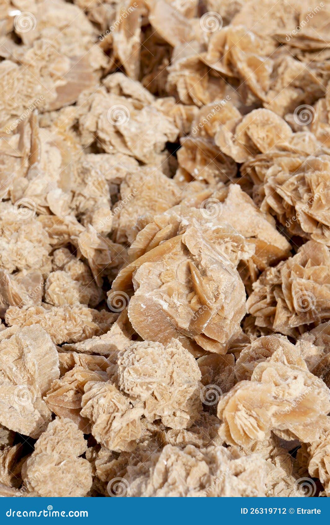 Desert Roses Form Crystallize As Minerals In Layers Of Sand Or Soil ...