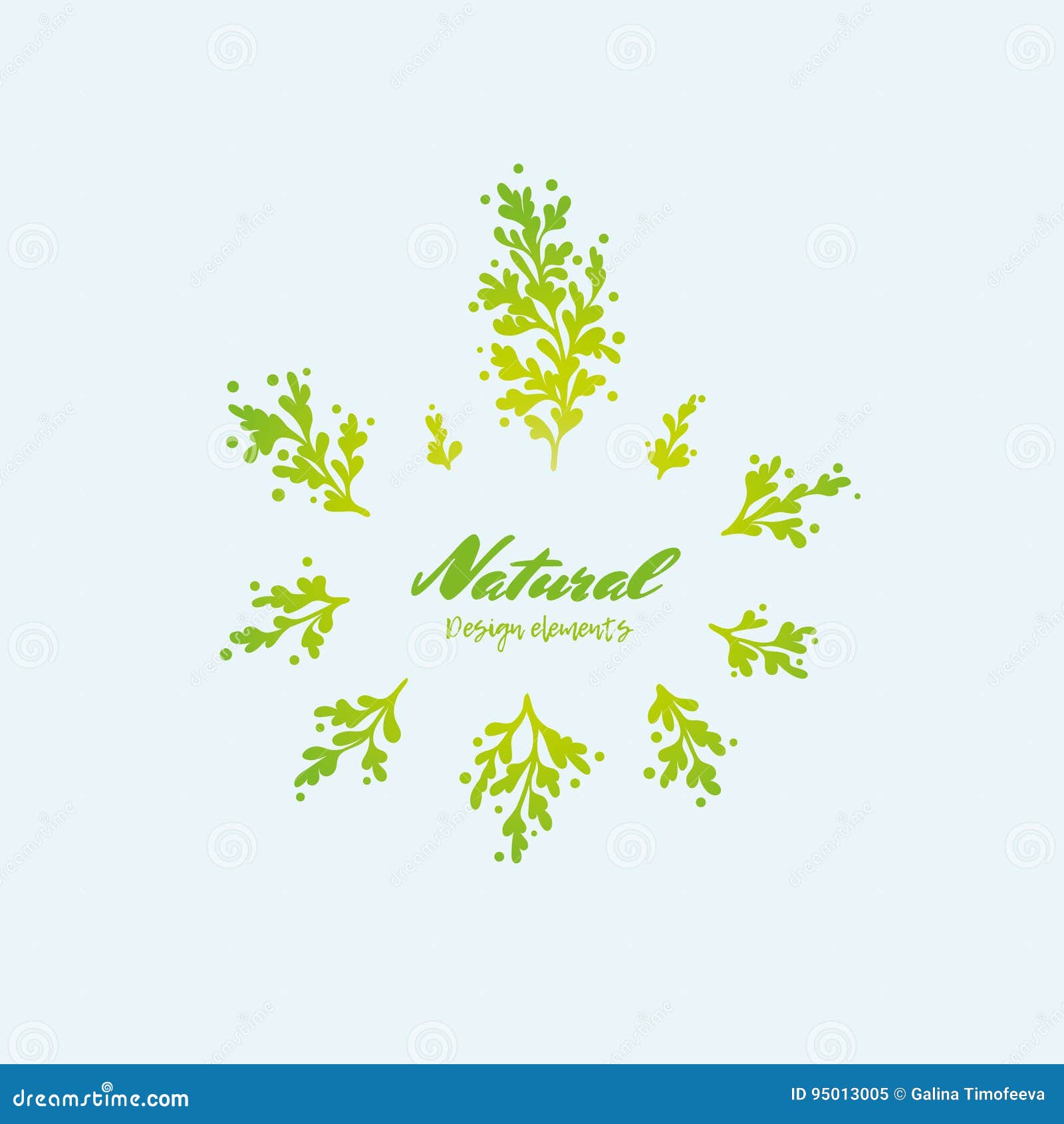 Natural design elements stock vector. Illustration of card - 95013005