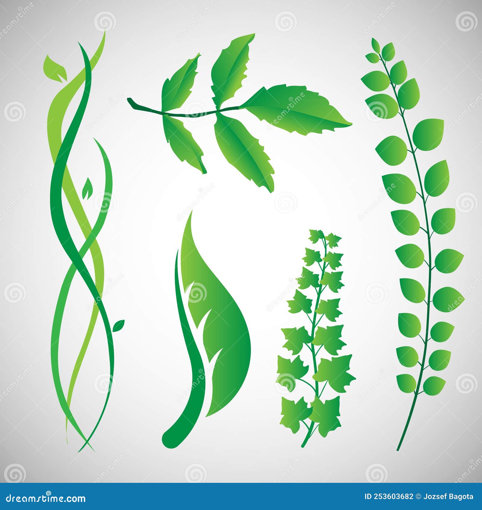 Natural Design Elements stock vector. Illustration of blank - 253603682