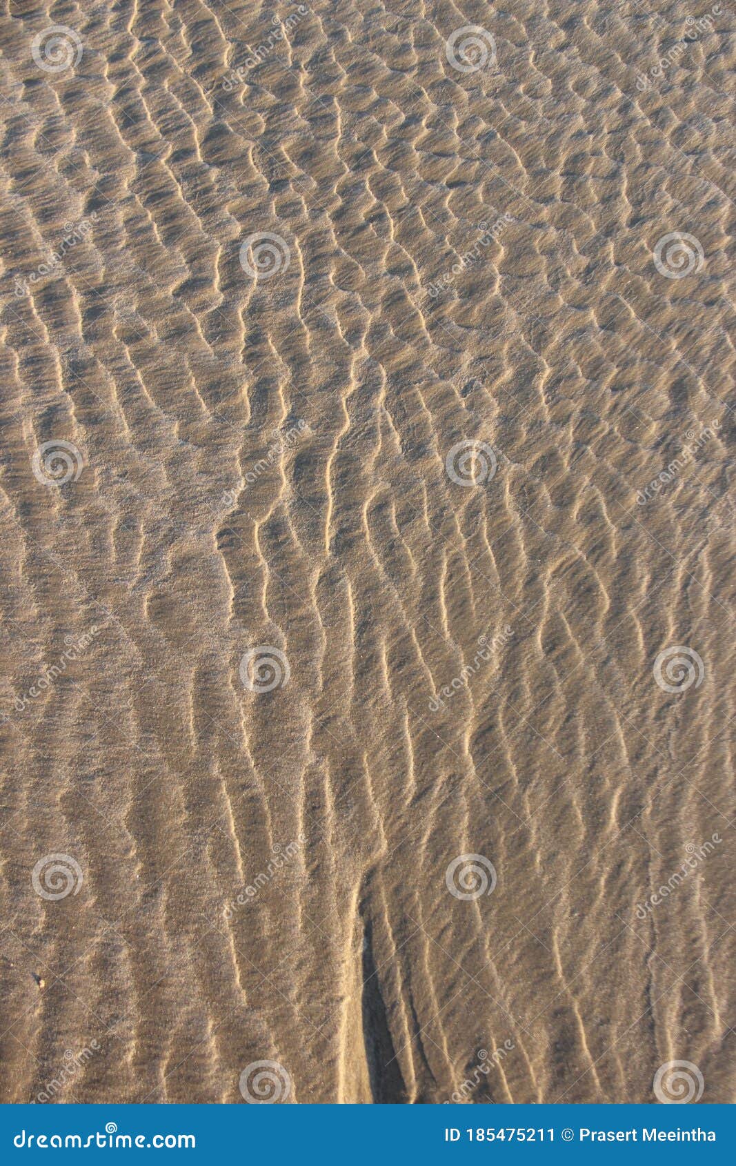 Sand Trace stock image. Image of environment, close - 185475211