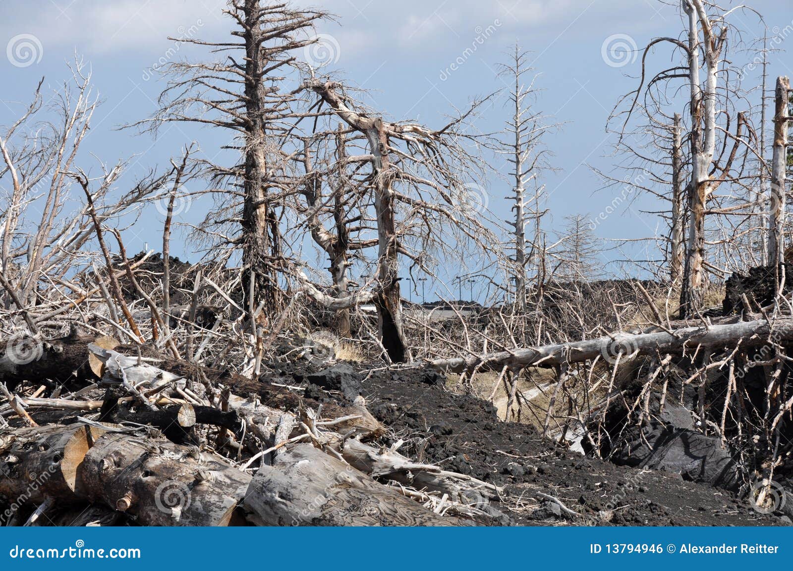 Natural disaster stock photo. Image of dirt, disaster - 13794946