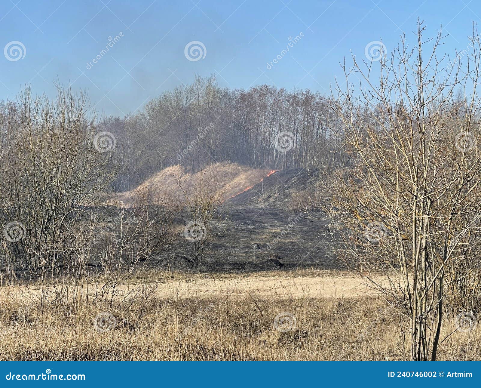 Burning Field Of Dry Grass And Trees On The Background Of A Large-scale ...