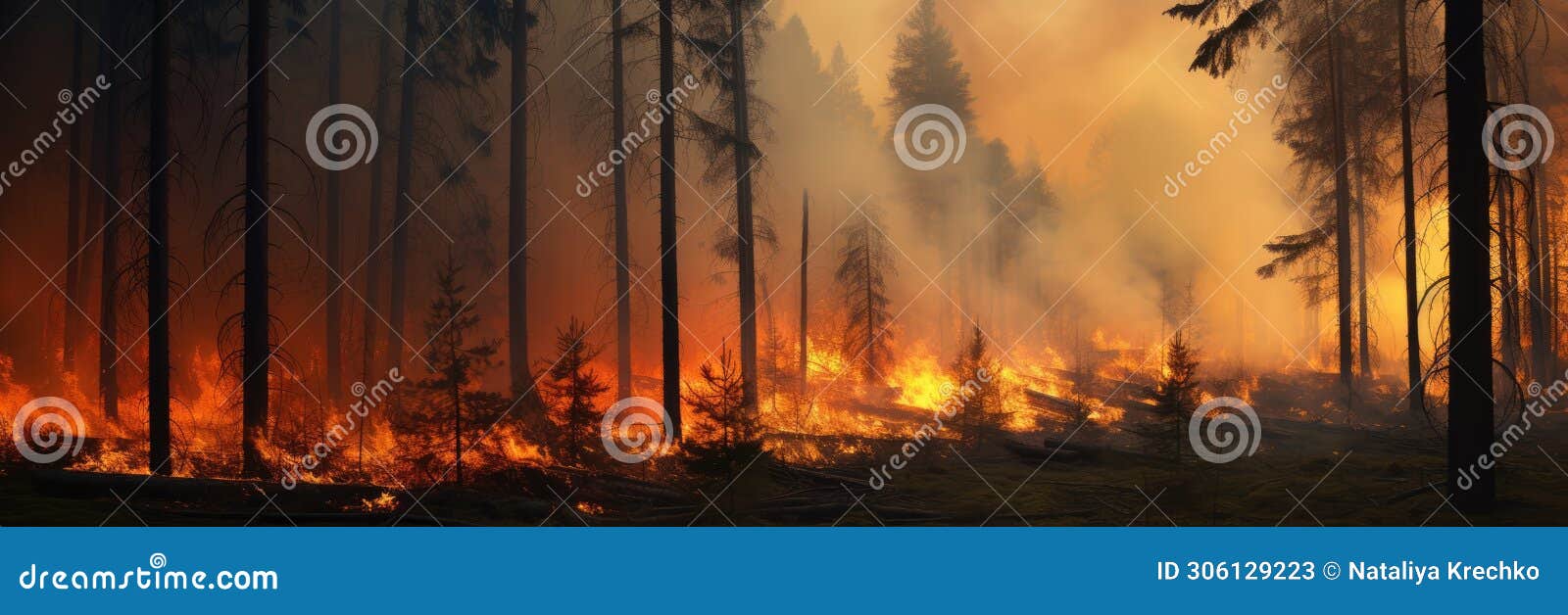 Natural Disaster. Fire in the Forest Stock Image - Image of wild, burn ...