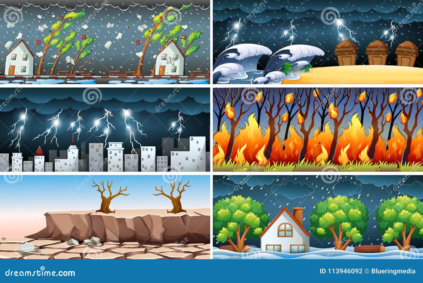 Natural Disasters Collage