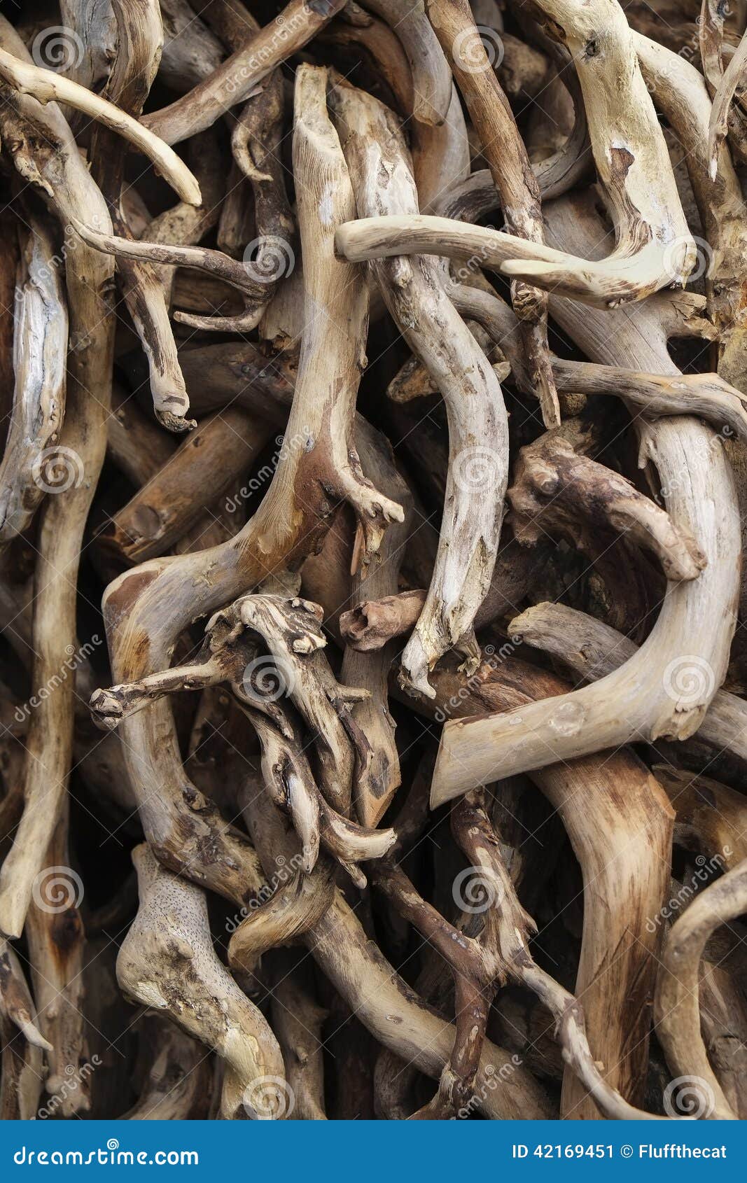 Natural Driftwood Collection Stock Image - Image of timber, driftwood ...