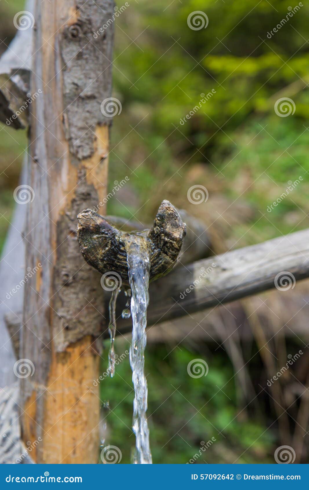 Natural Drink Water from Forest Source in Carpathians Mountains Stock ...