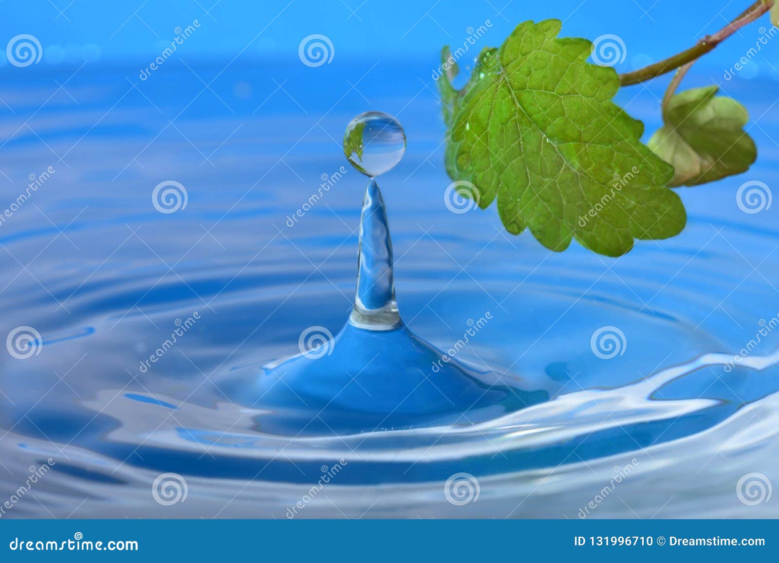 Natural drop of water stock photo. Image of natural - 131996710
