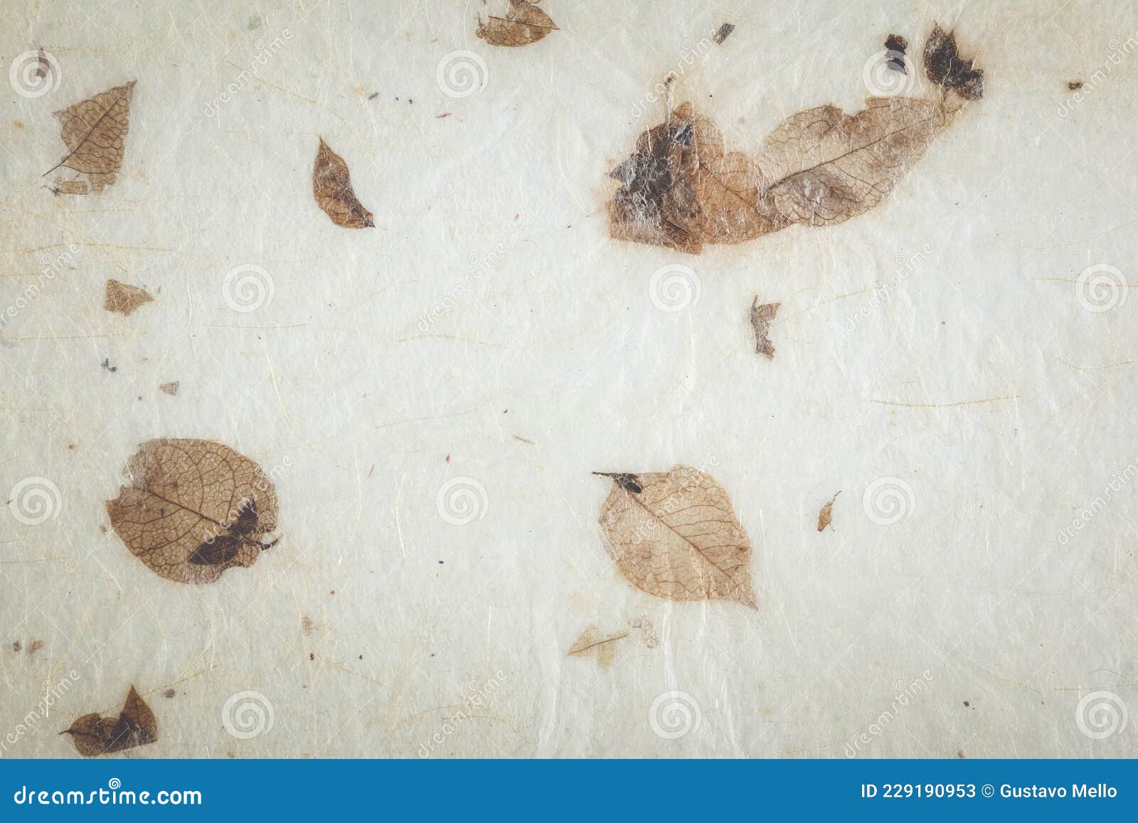 Natural Dry Leaves Paper Texture. Handmade Paper Stock Image - Image of ...