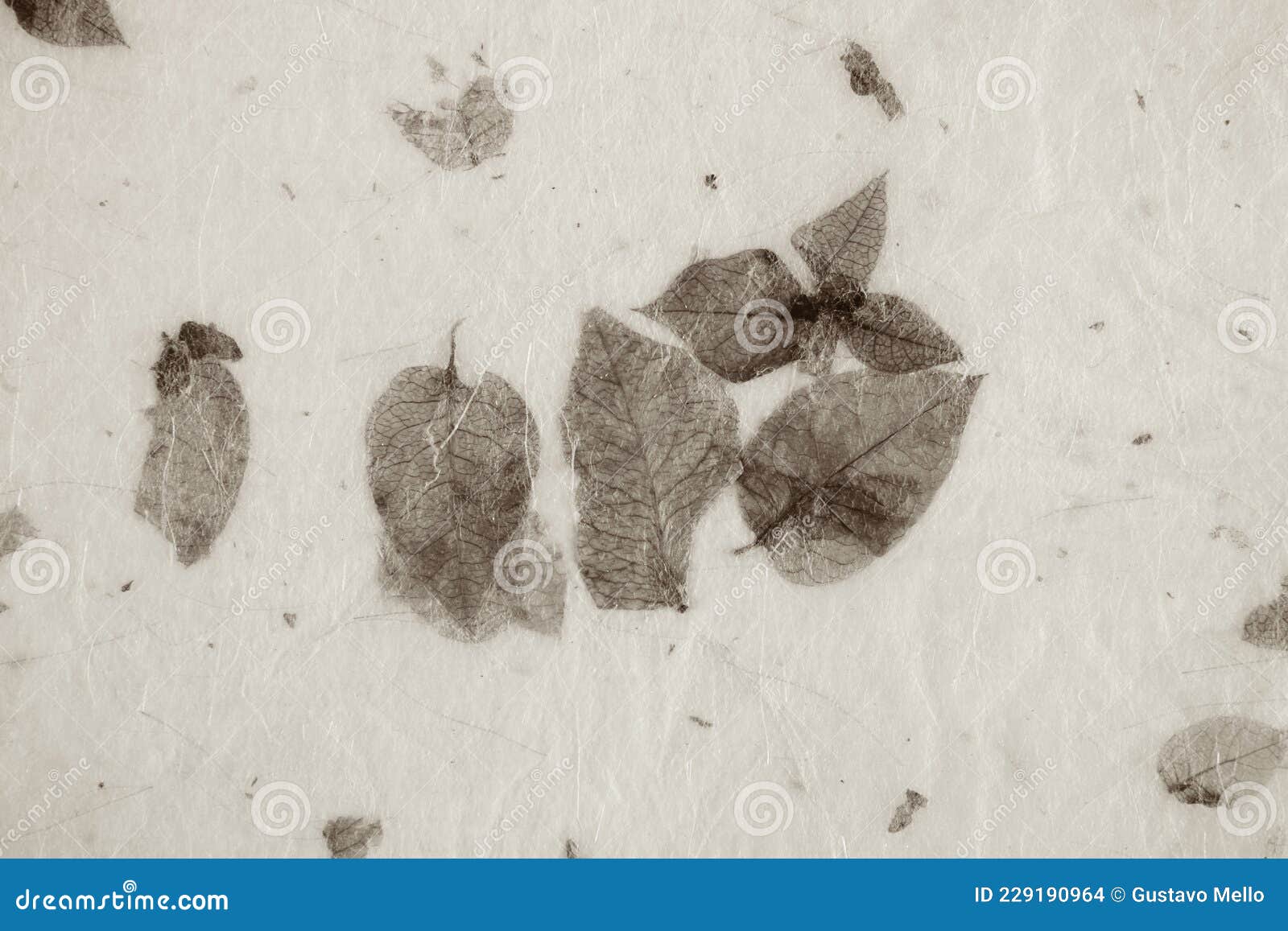 Natural Dry Leaves Paper Texture. Handmade Paper Stock Photo - Image of ...