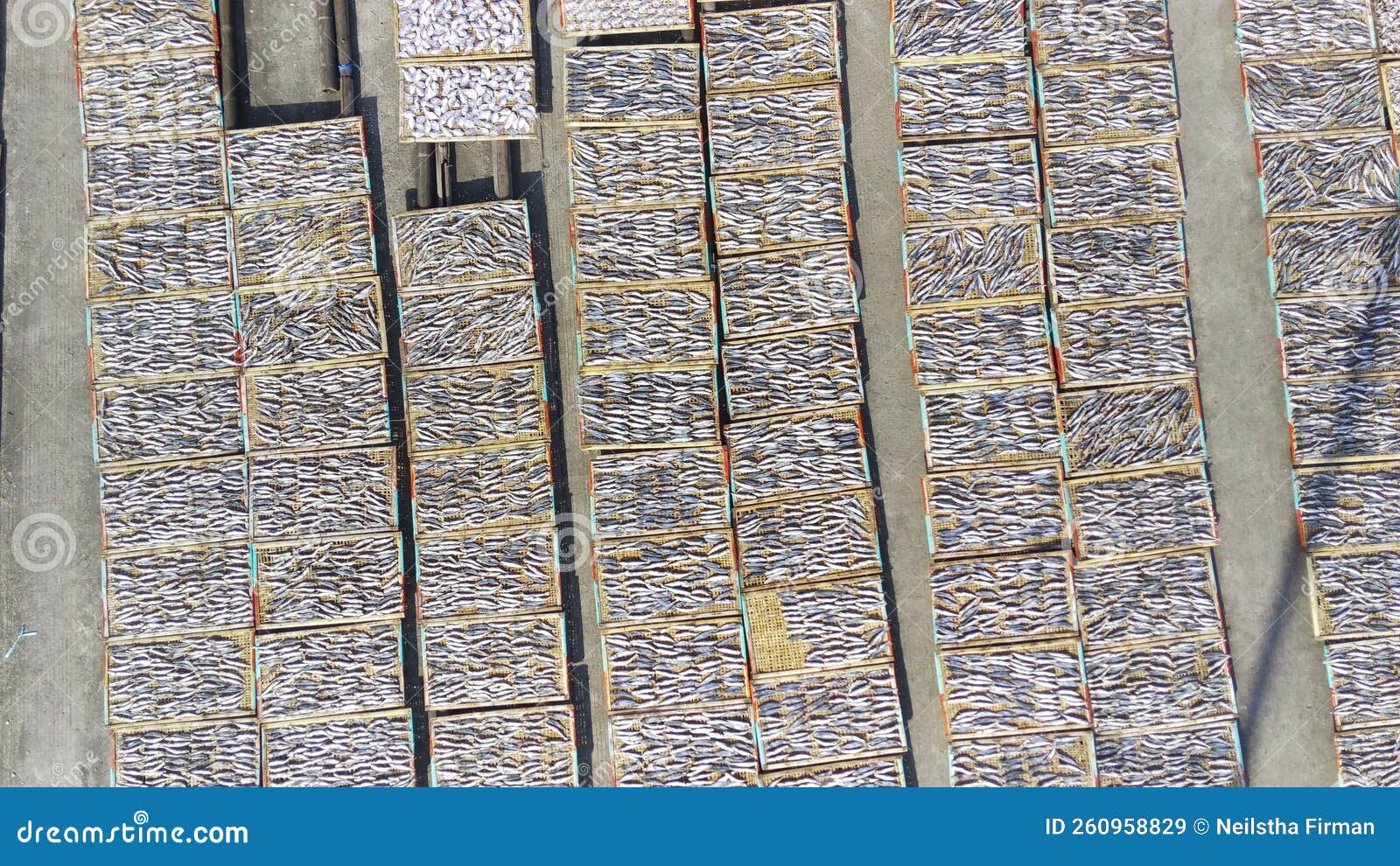 The Natural Drying Process for Salted Fish Stock Image - Image of food ...